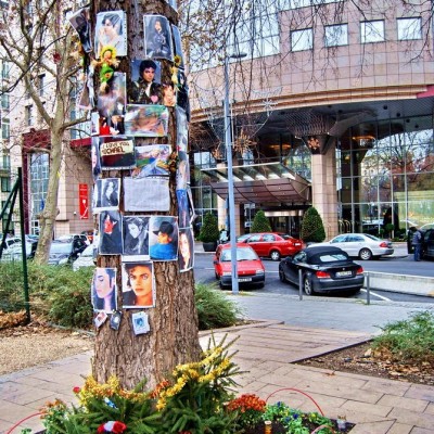MJ Memorial Tree In Budapest – Michael Jackson World Network