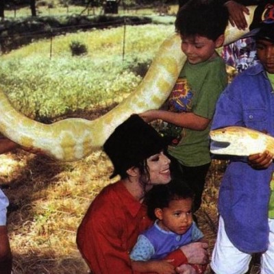 MJ’s Snakes Find New Home In Fruita – Michael Jackson World Network