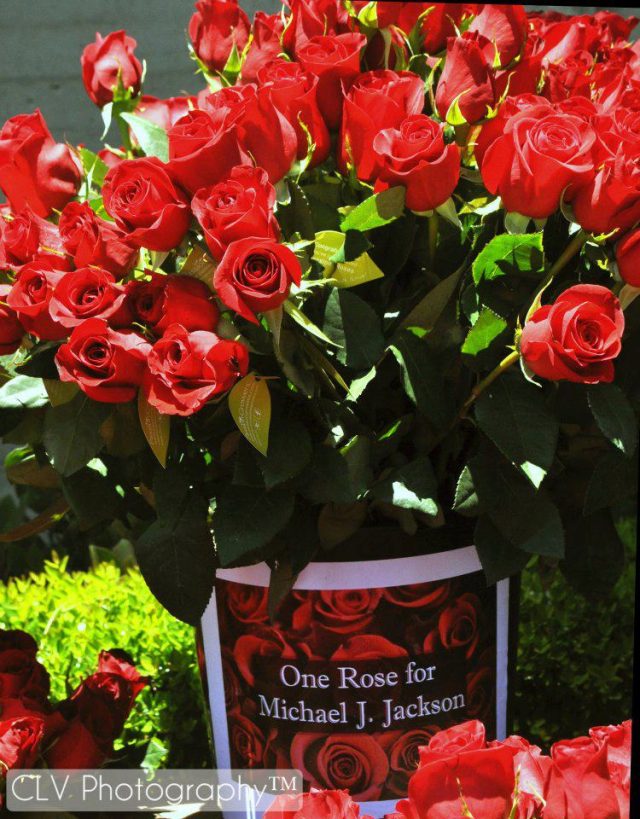 One Rose For Michael – Michael Jackson World Network