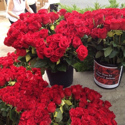 One Rose Delivery 2013 – Michael Jackson World Network